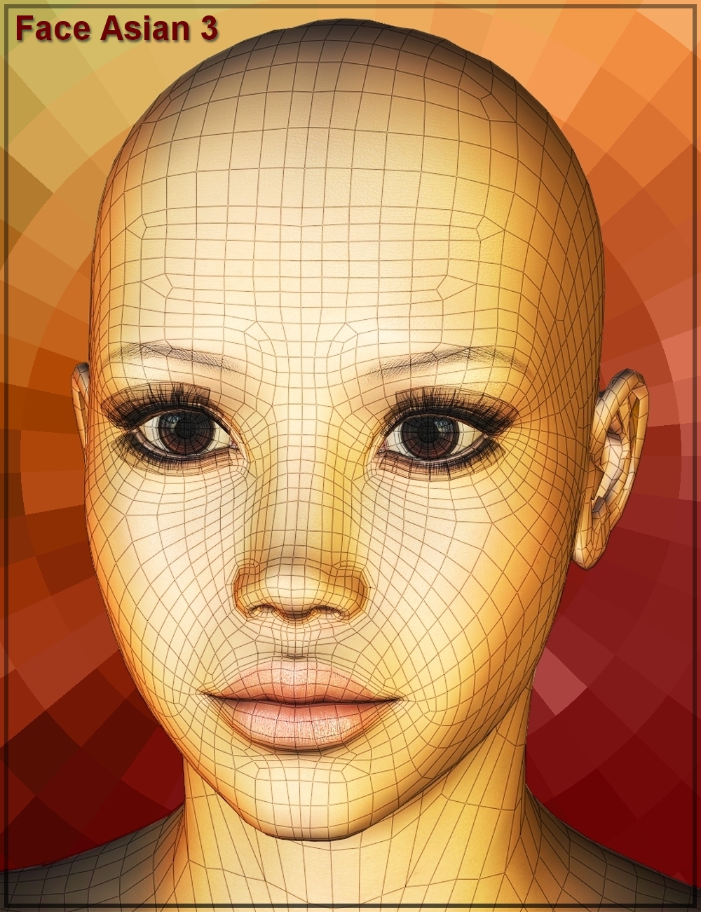 Genesis Head Morph Resource Kit 4 | Daz 3D