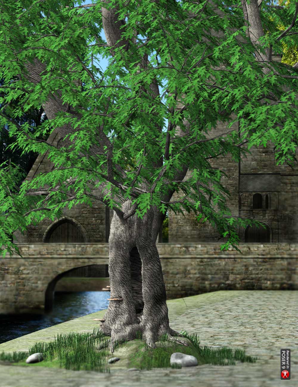 Old Oak Tree | Daz 3D