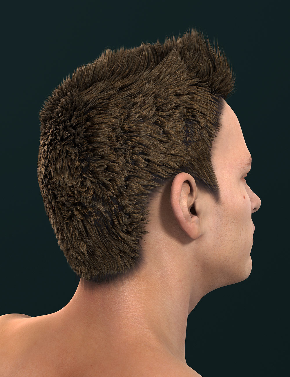 Xavior Hair | Daz 3D