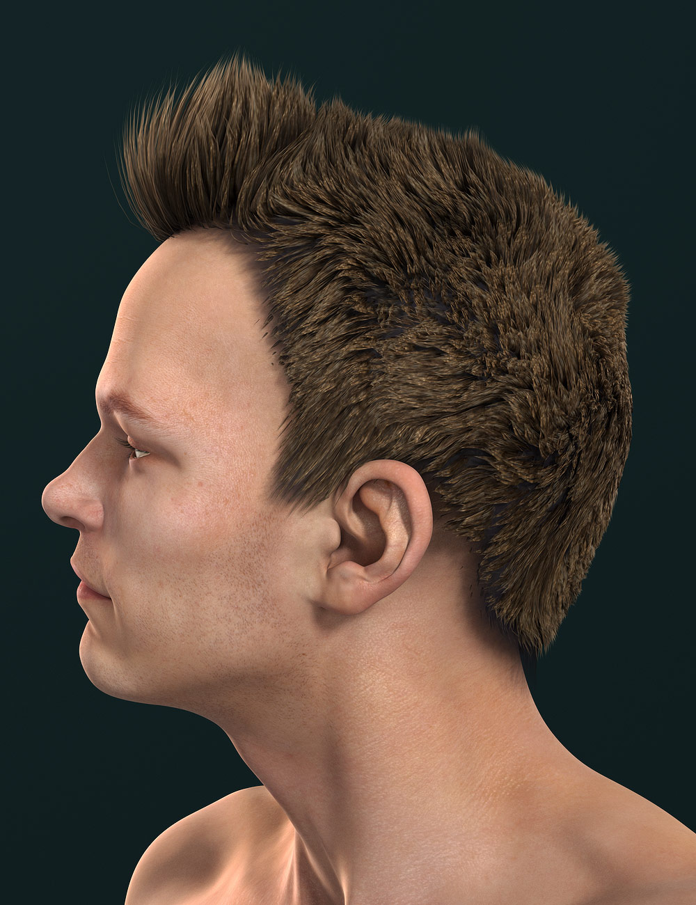 Xavior Hair | Daz 3D
