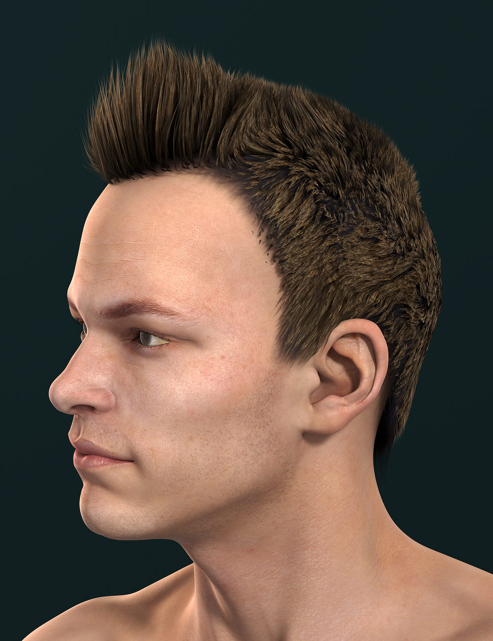 David 5 Pro Bundle | Daz 3D