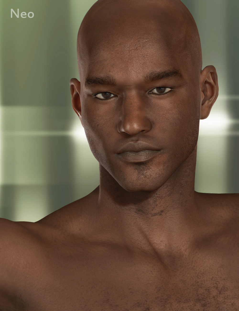 David 5 Pro Bundle | Daz 3D