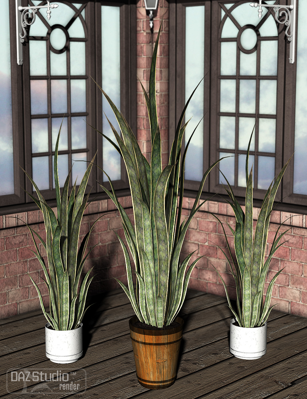 Plantz | Daz 3D