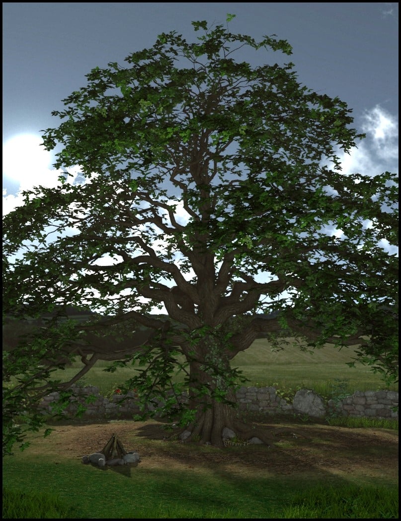 Merlin's Oak, Plants and Props Set | Daz 3D