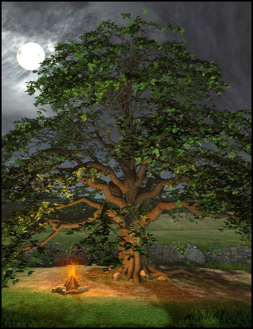 Merlin's Oak, Plants and Props Set | Daz 3D