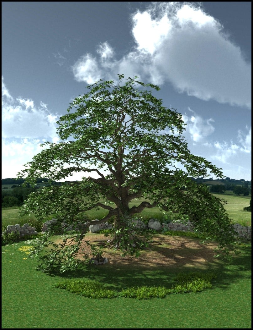 Merlin's Oak, Plants and Props Set | Daz 3D