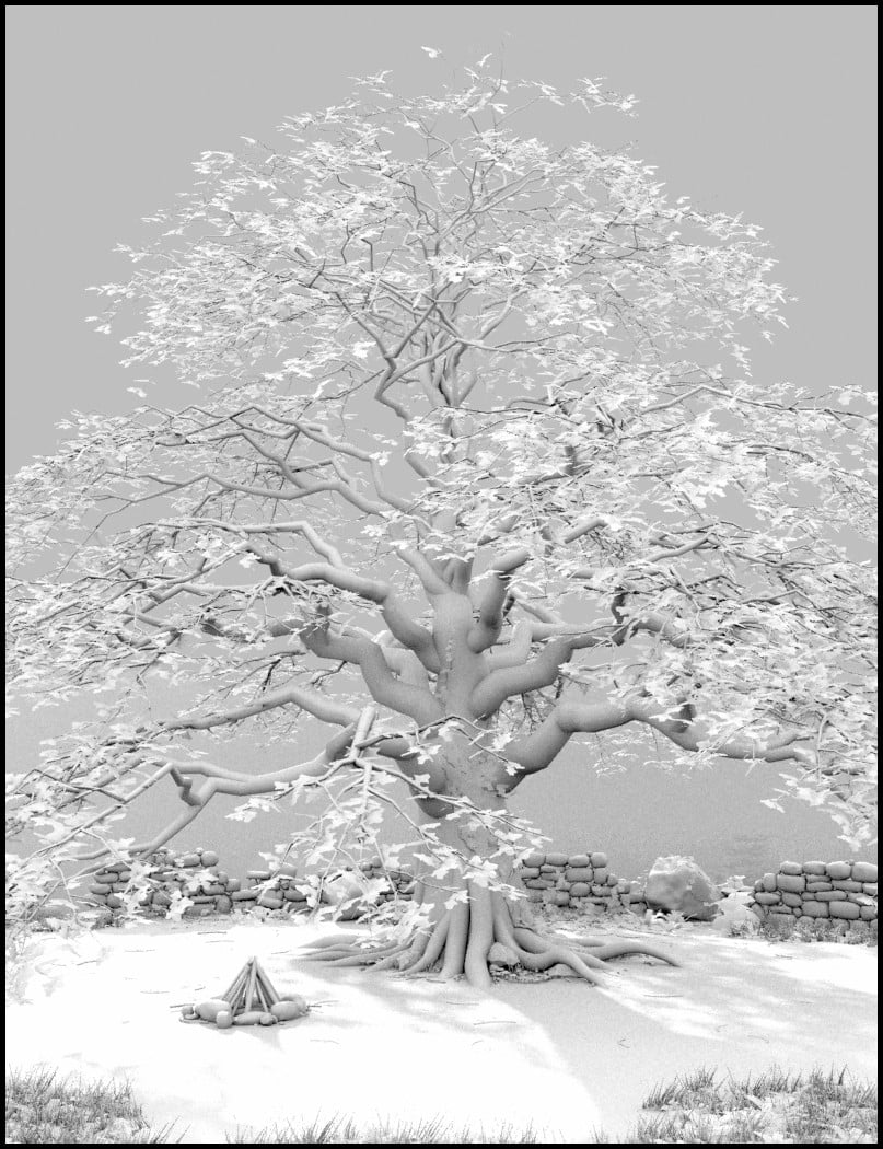 Merlin's Oak, Plants and Props Set | Daz 3D