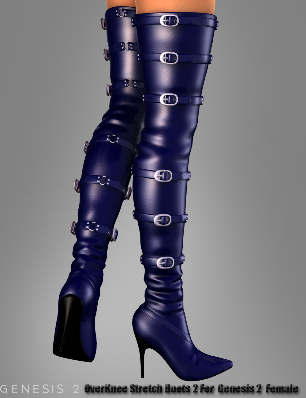 OverKnee Stretch Boots 2 For Genesis 2 Female(s) | Daz 3D