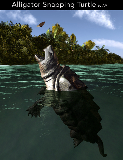 Alligator Snapping Turtle | Daz 3D