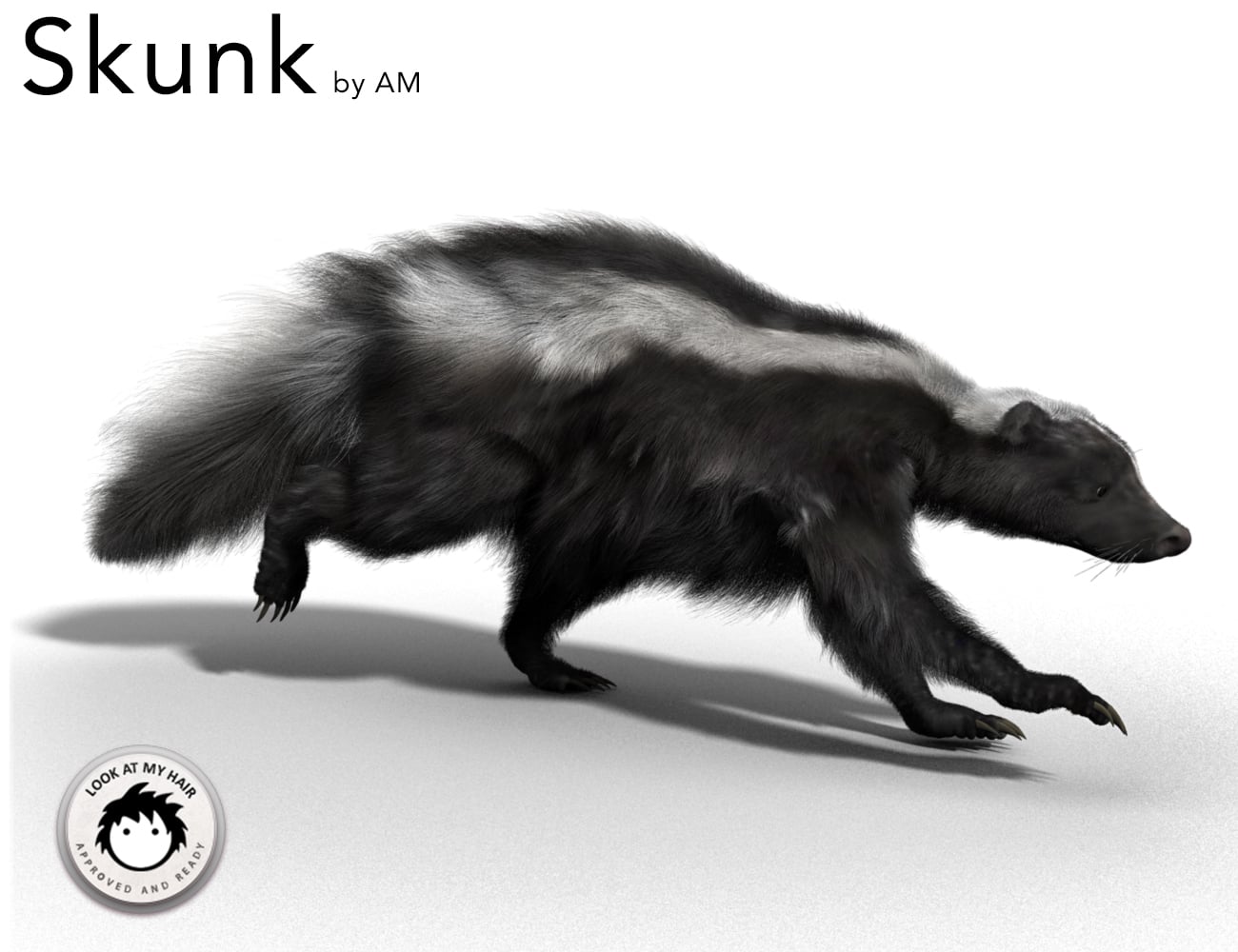 Skunk by AM | Daz 3D