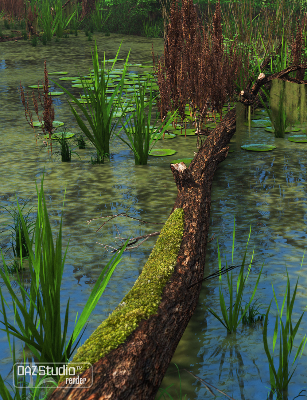 Nature - Swamp | Daz 3D