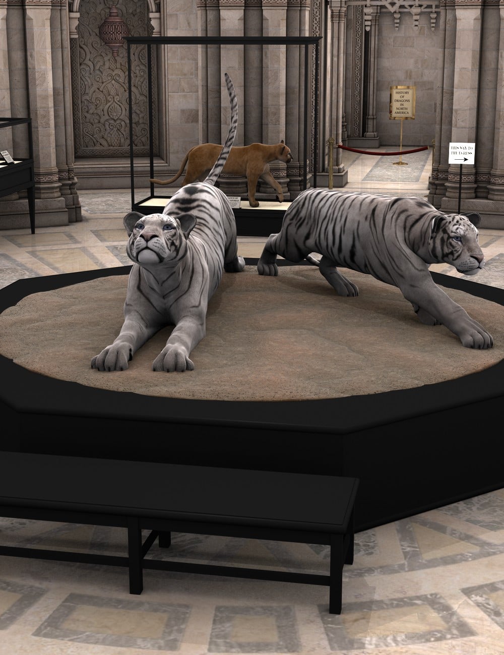 Cases For Curiosities | Daz 3D