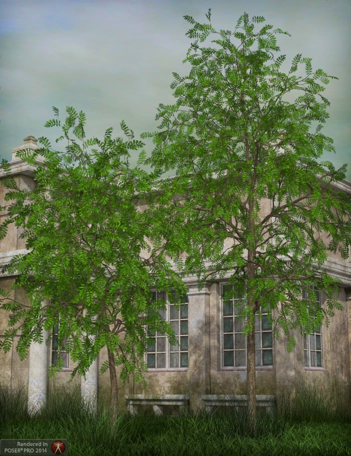 Rowan Trees Megapack | Daz 3D