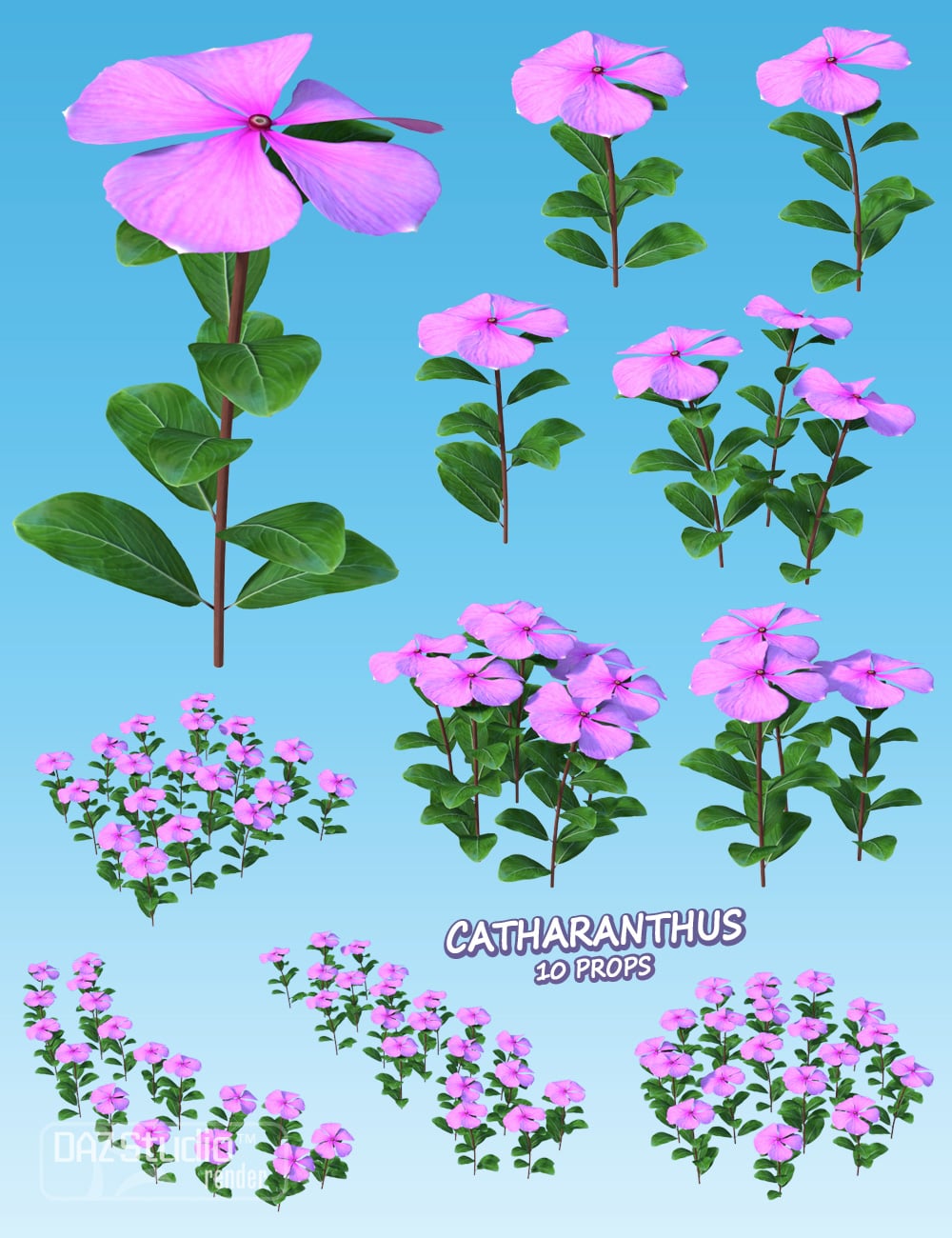 Nature - Flowers Pack 1 | Daz 3D