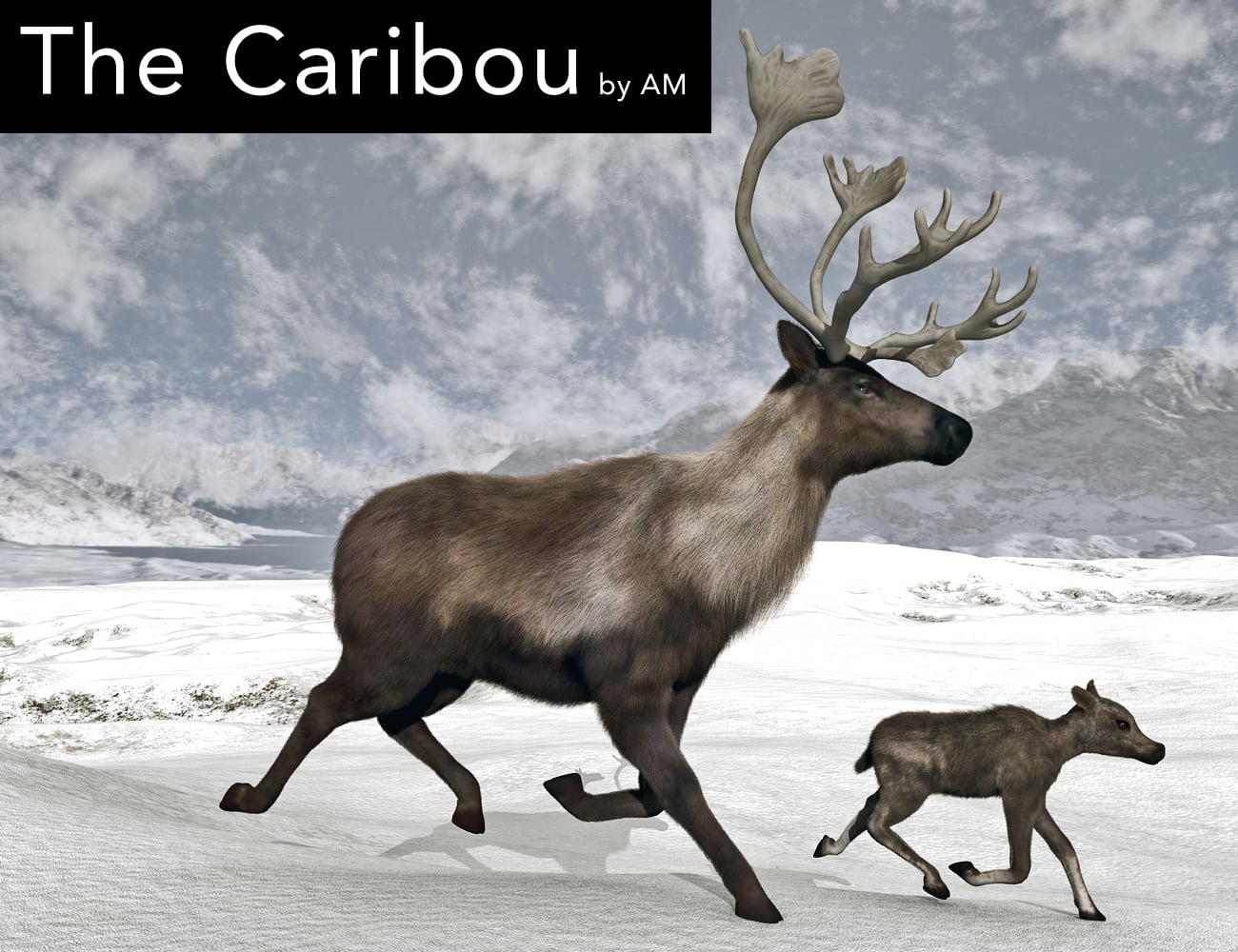 Caribou by AM | Daz 3D