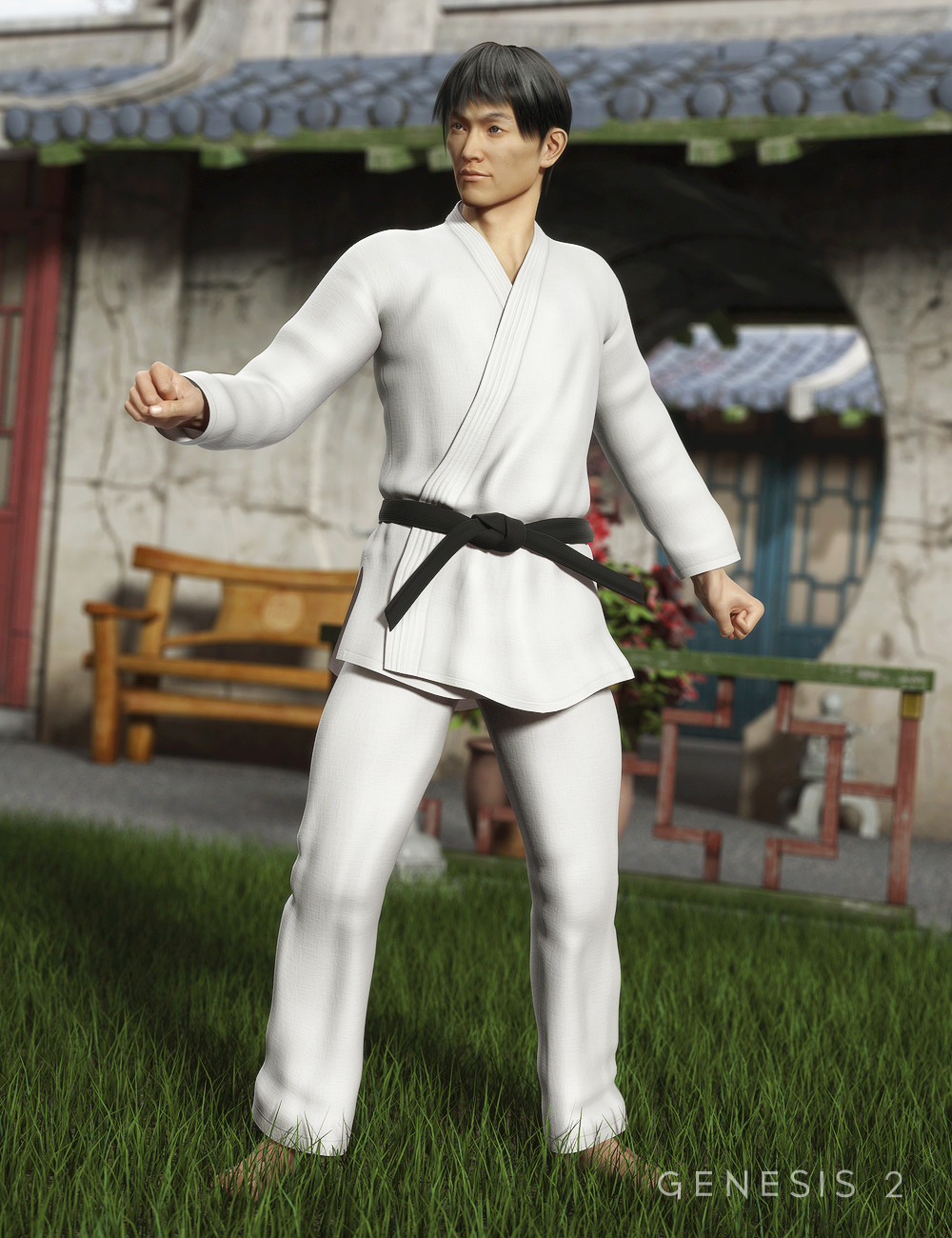 Lee 6 Karate Bundle | Daz 3D