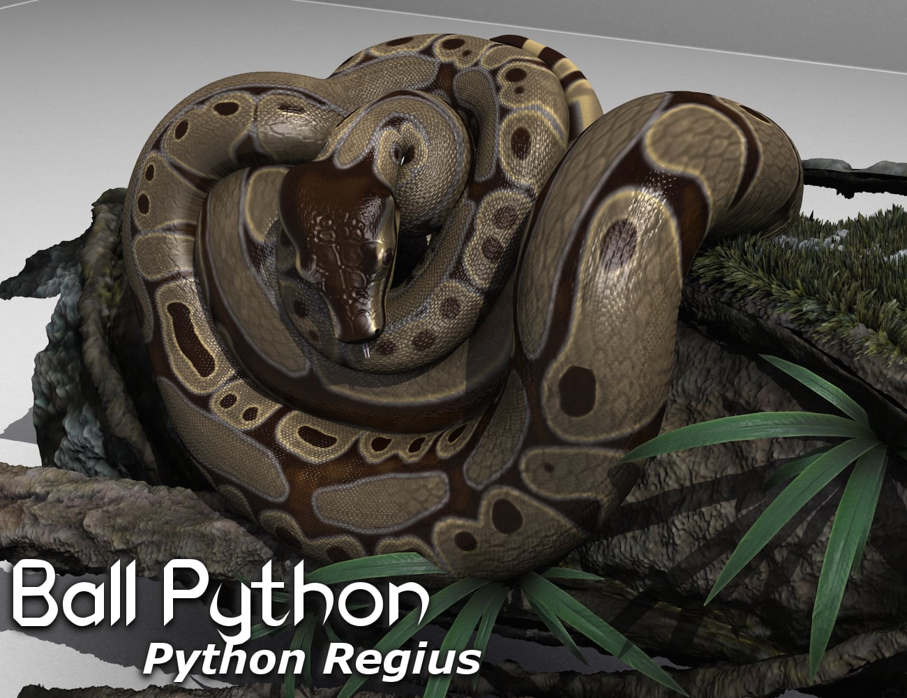 The Constrictor | Daz 3D