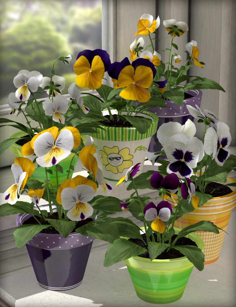 Pansies | Daz 3D