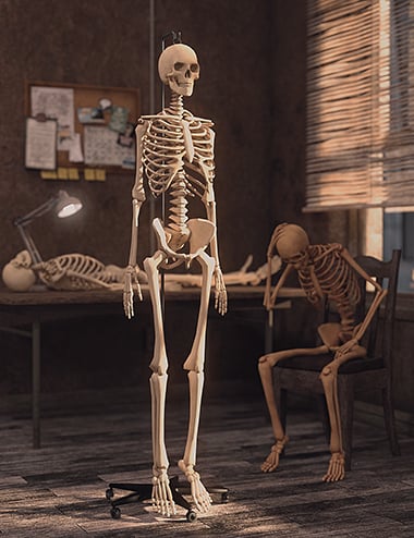 LoREZ Skeleton | Daz 3D