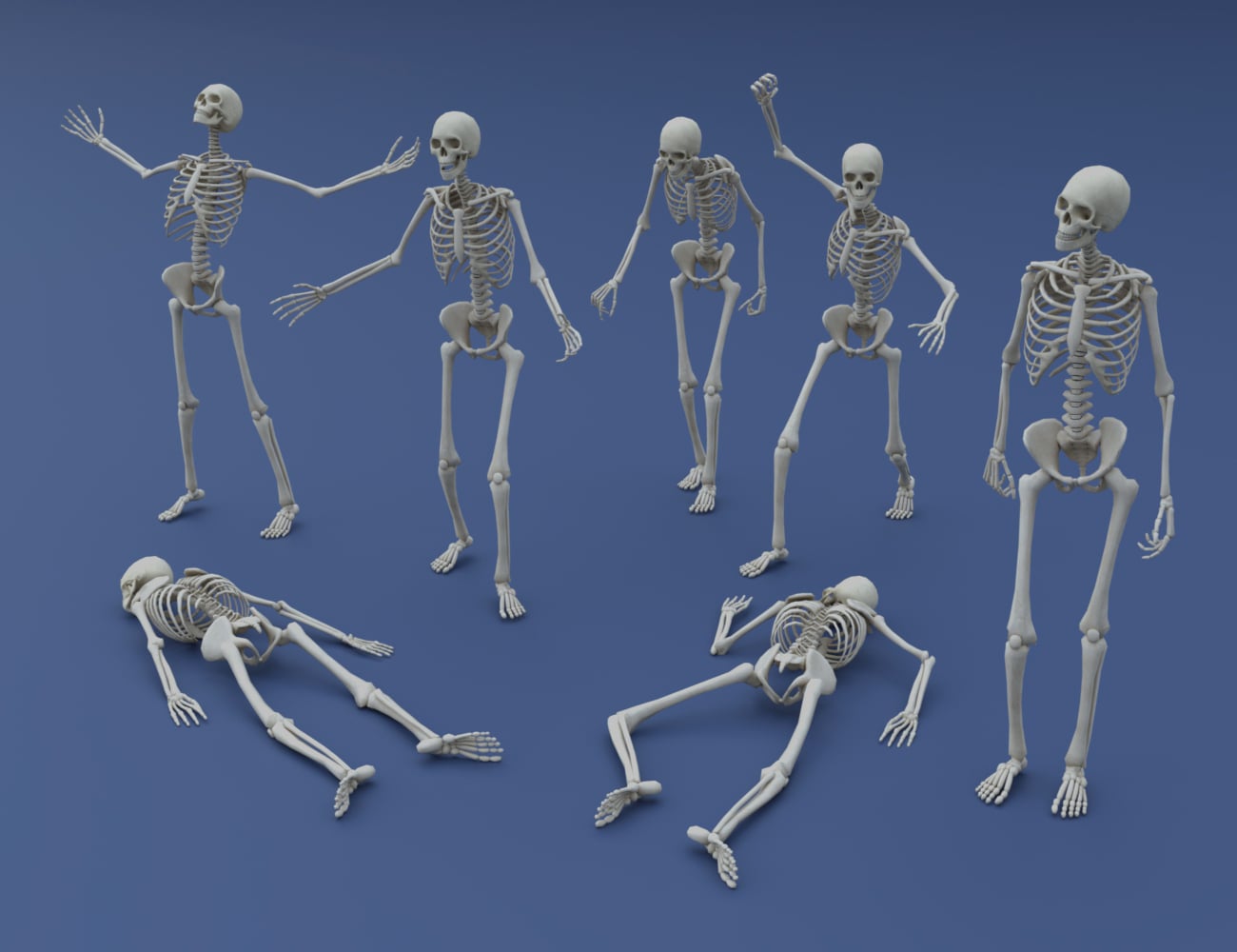 LoREZ Skeleton | Daz 3D