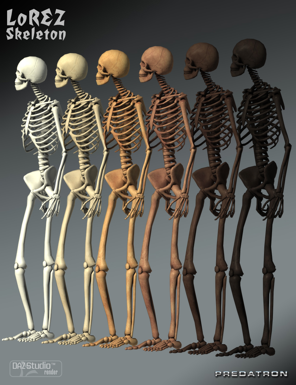 LoREZ Skeleton Bundle | Daz 3D