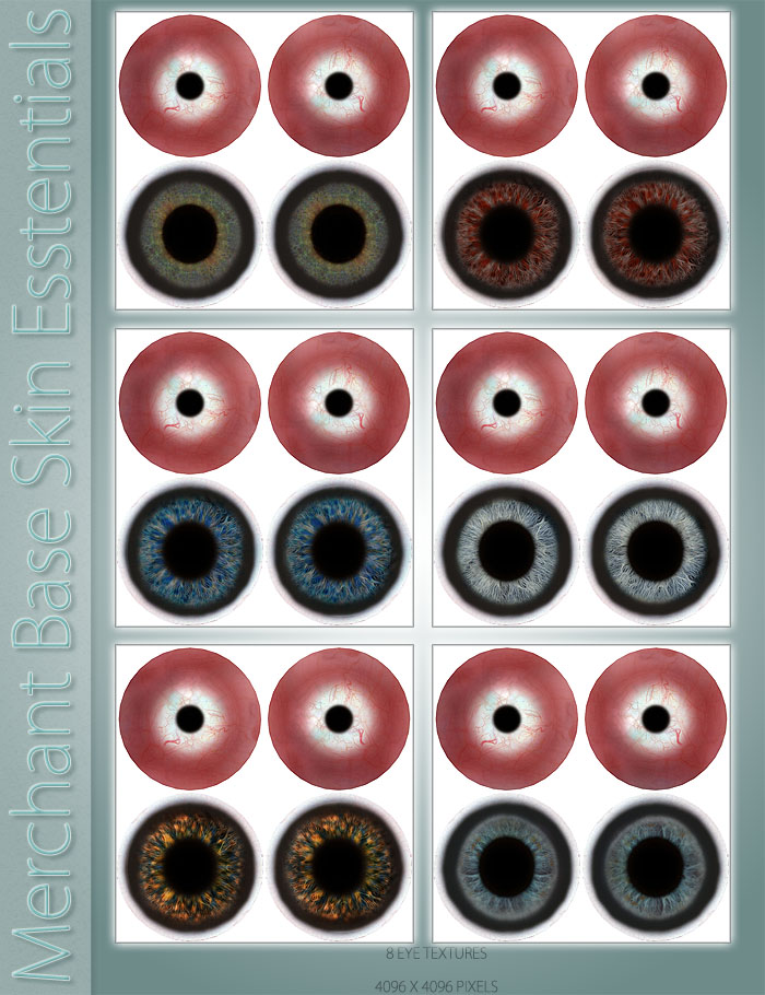 Merchant Base Skin Essentials for Genesis 3 Female(s) | Daz 3D