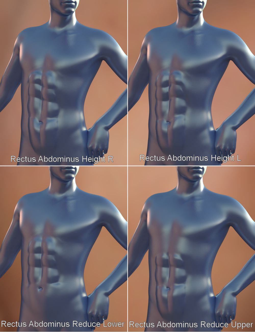 Musculature HD Morphs for Genesis 3 Male(s) | Daz 3D