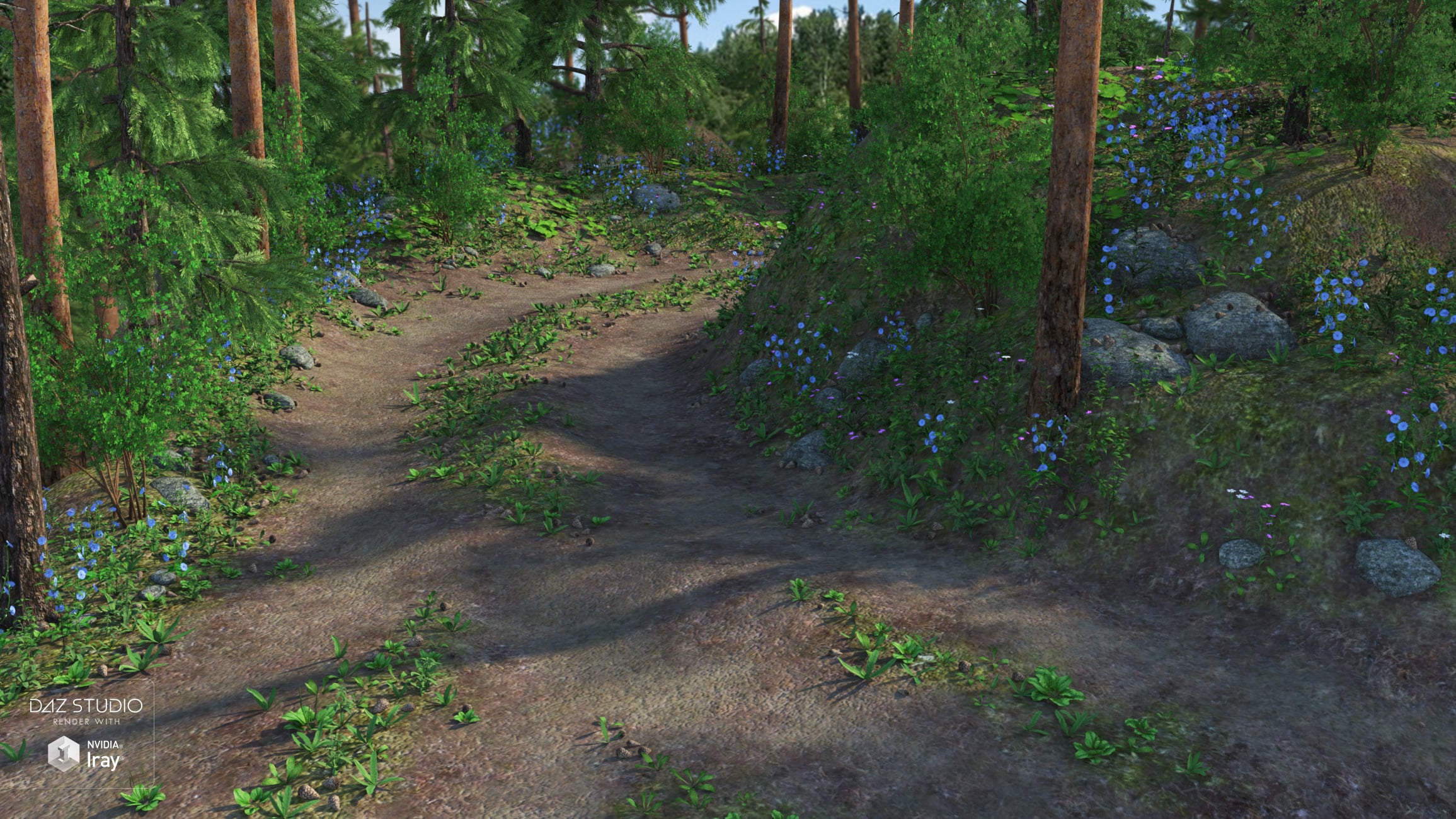 Forest Path | Daz 3D