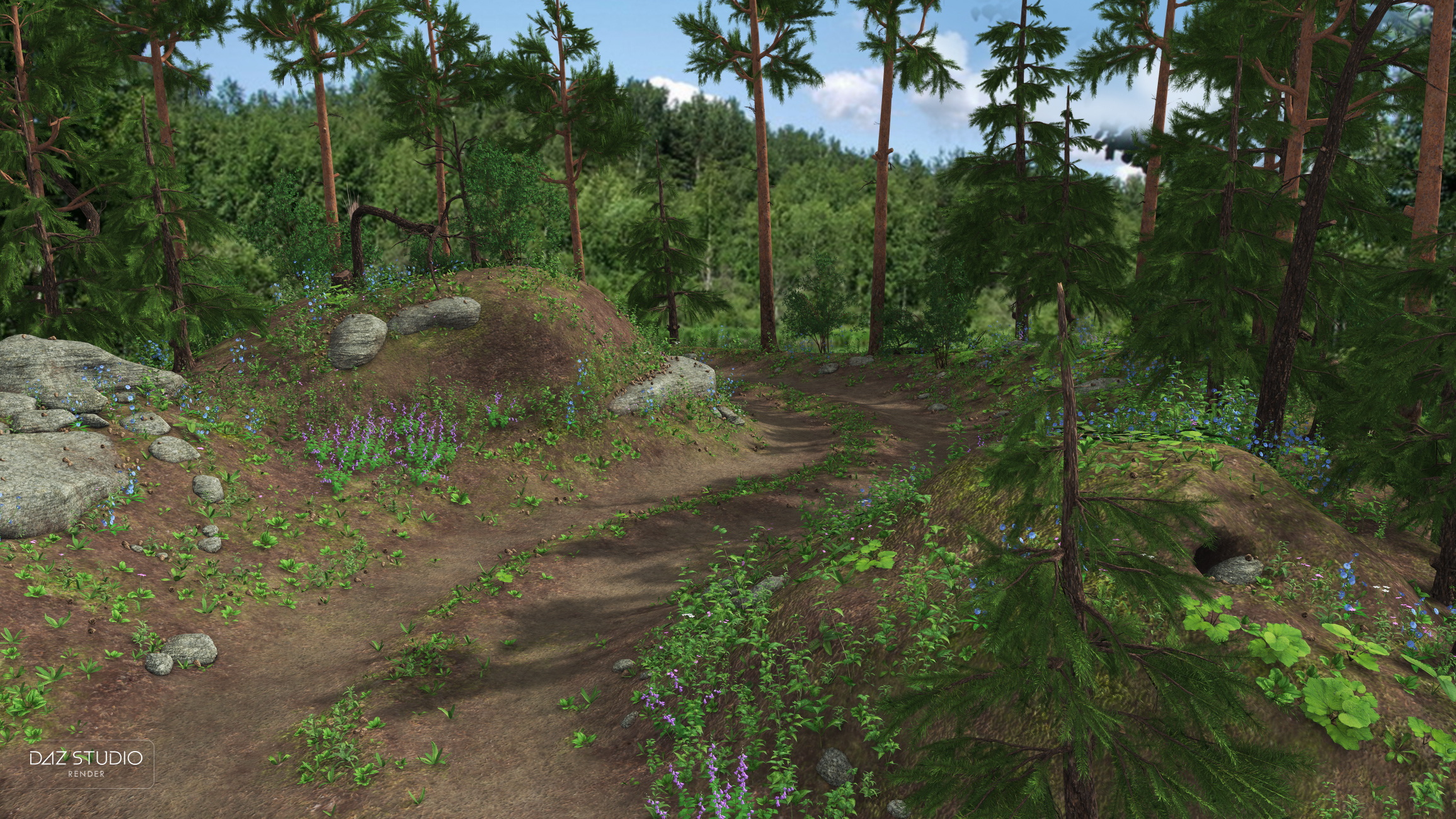 Forest Path | Daz 3D