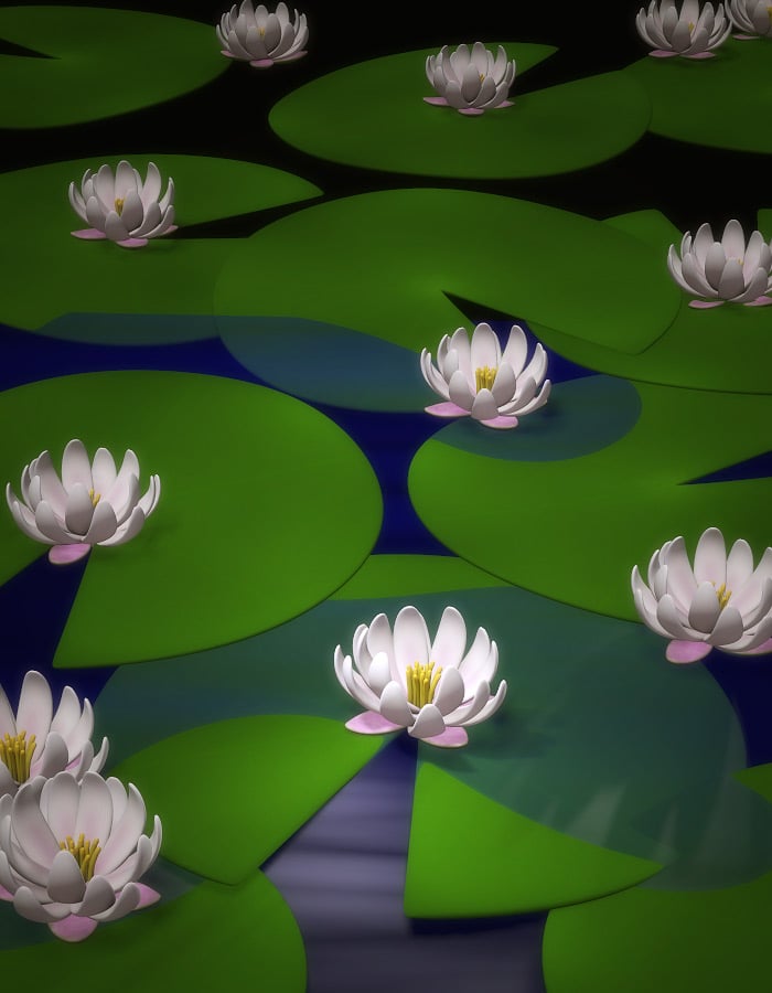 Lilypad | Daz 3D