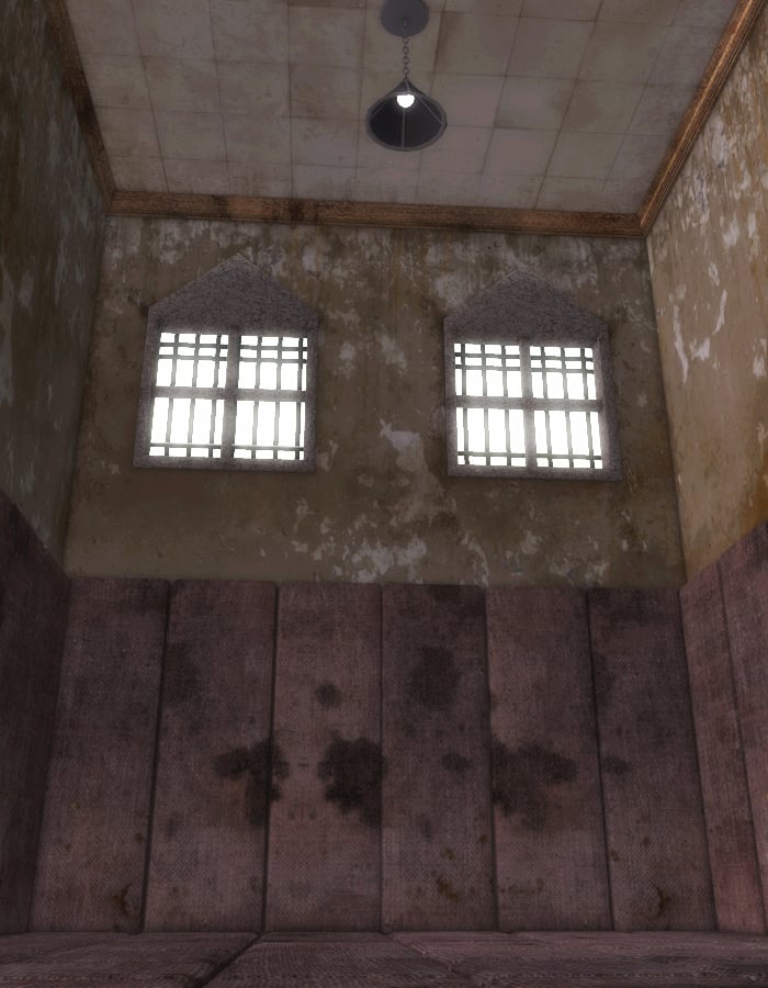The Asylum: Padded Room | Daz 3D
