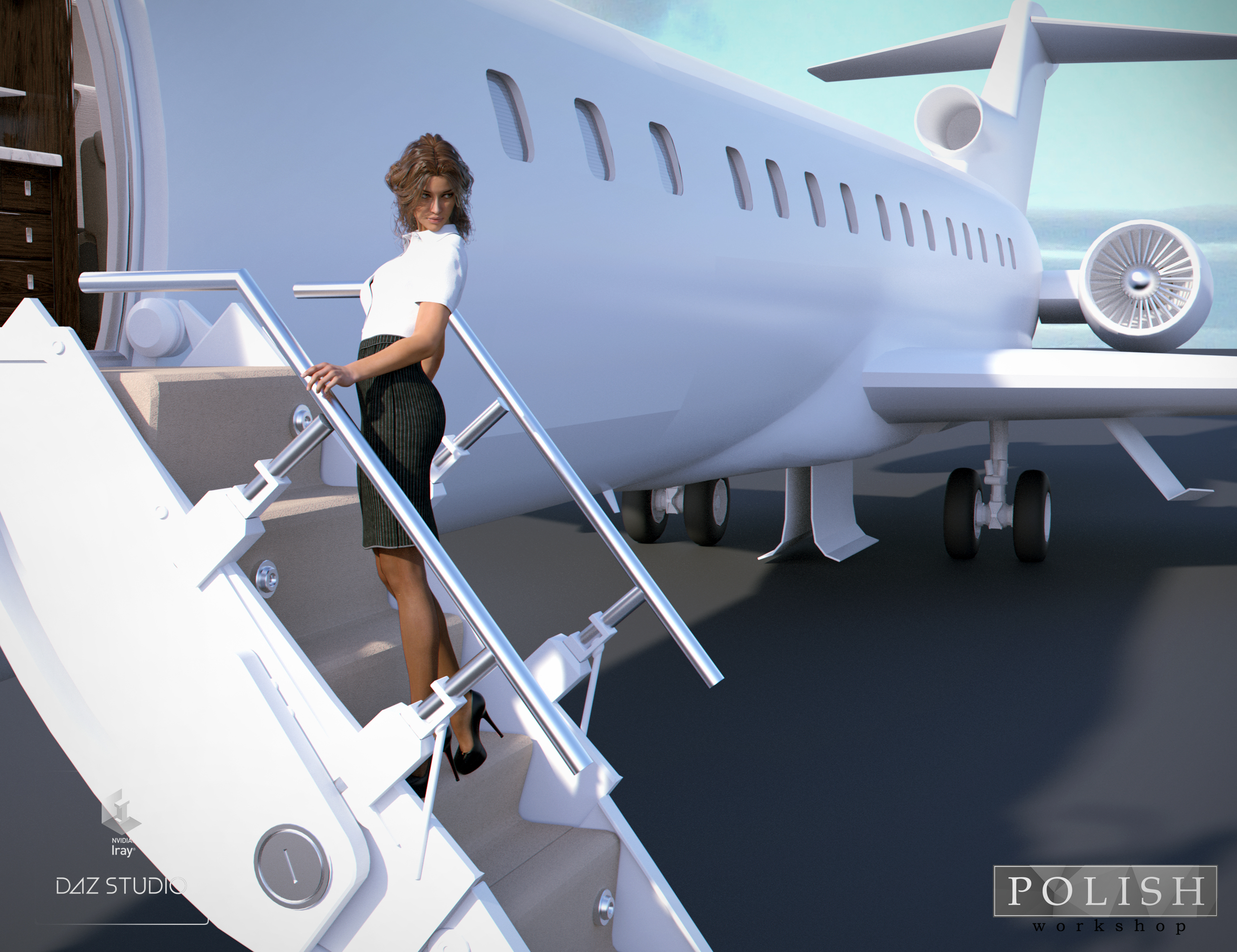 Luxury Private Jet | Daz 3D