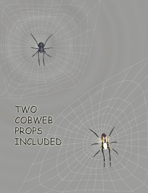 Black Widow Spider | Daz 3D