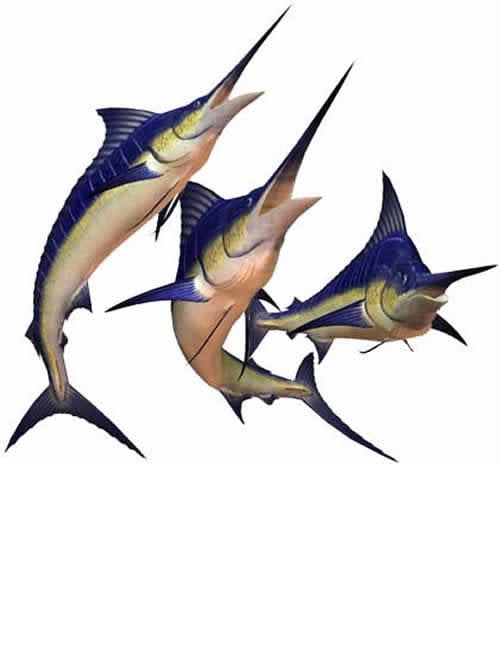 zz* - Texture Map - Marlin [Documentation Center]