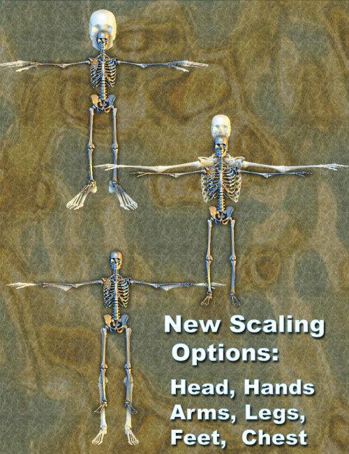 Bonez | Daz 3D