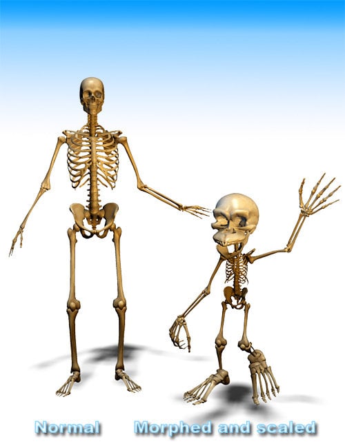 Bonez | Daz 3D