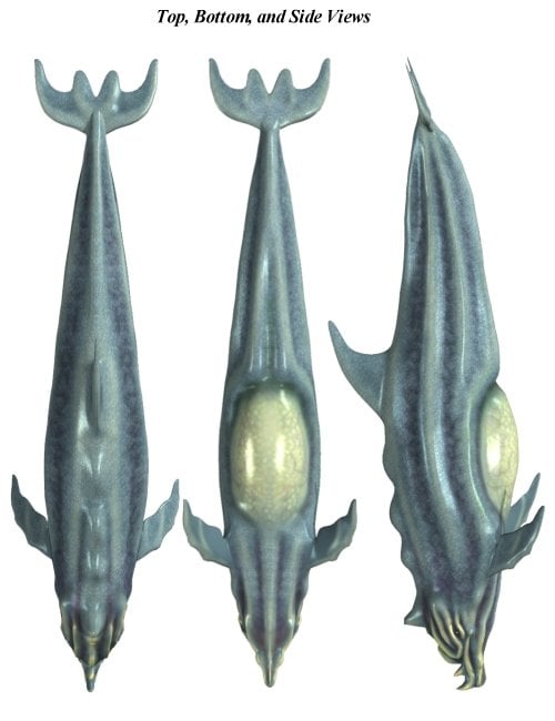 Hell Dolphin | Daz 3D