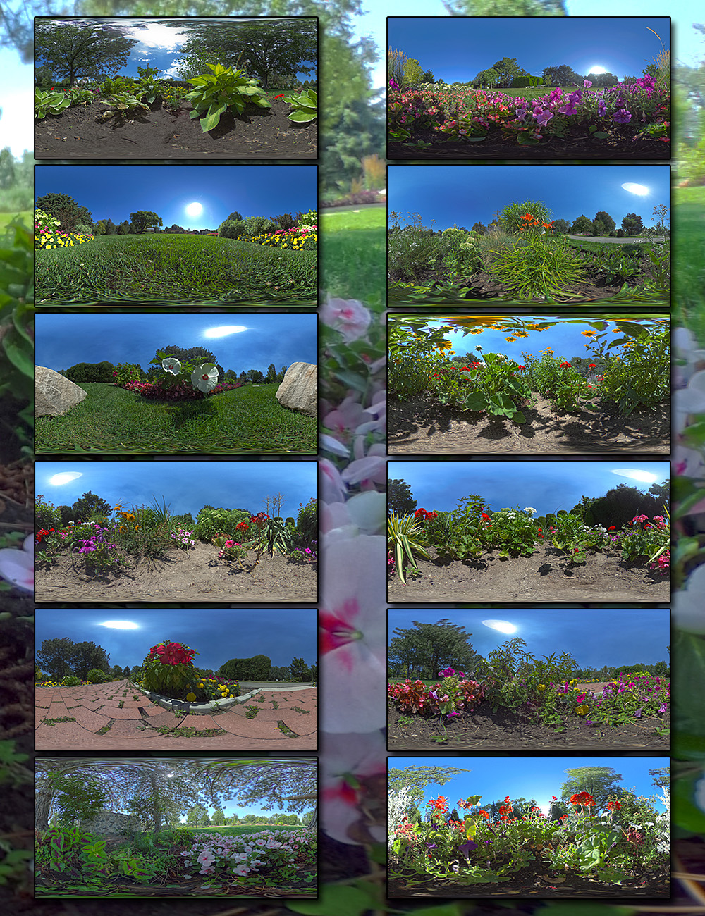 Fairy Scale IBL - Flower Fairy HDRI Environments | Daz 3D