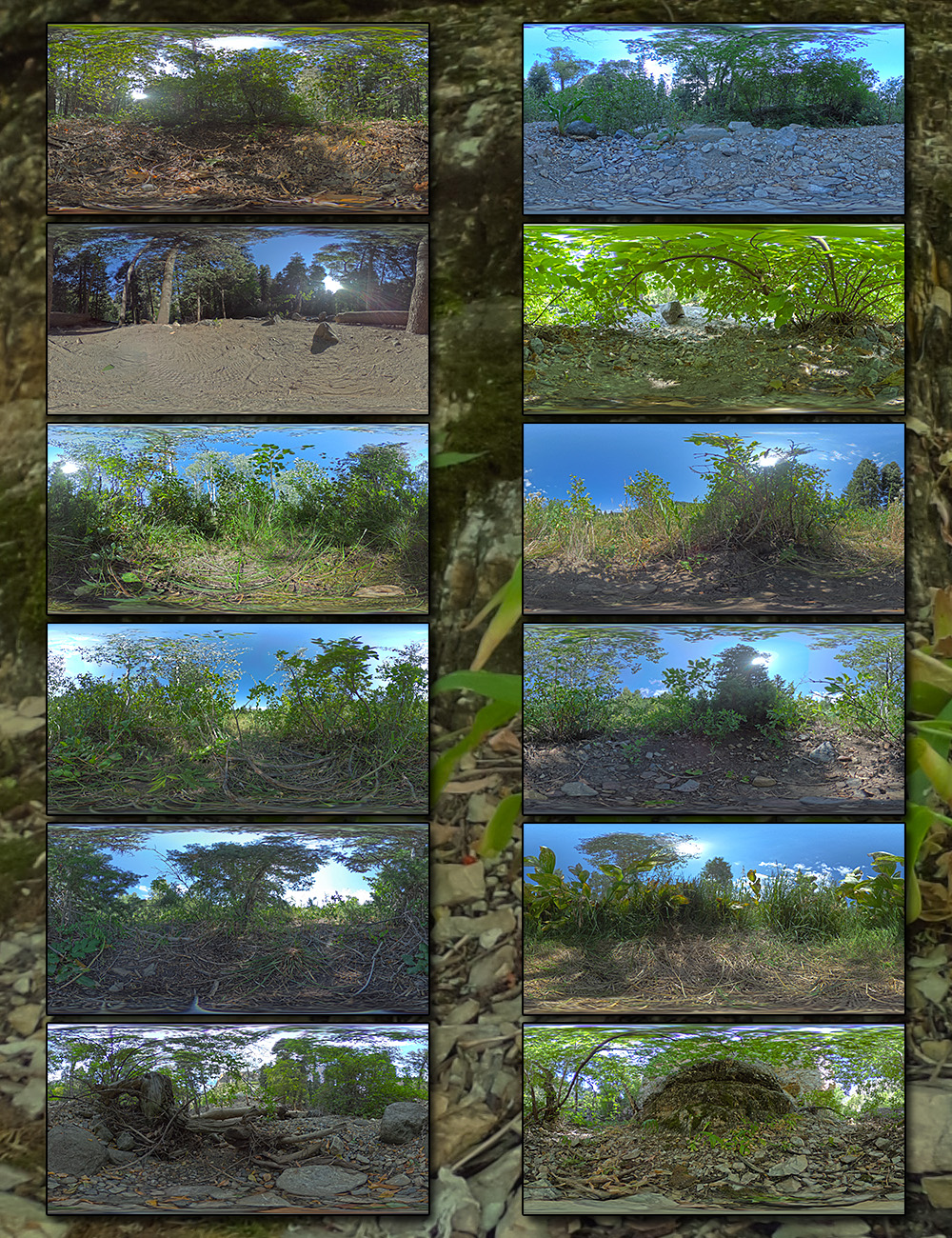 Fairy Scale IBL - Nature Bundle HDRI Environments | Daz 3D