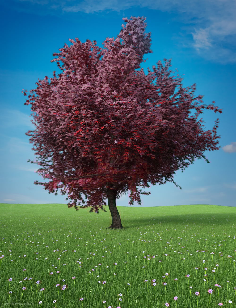 Momiji Trees Extreme Detail | Daz 3D