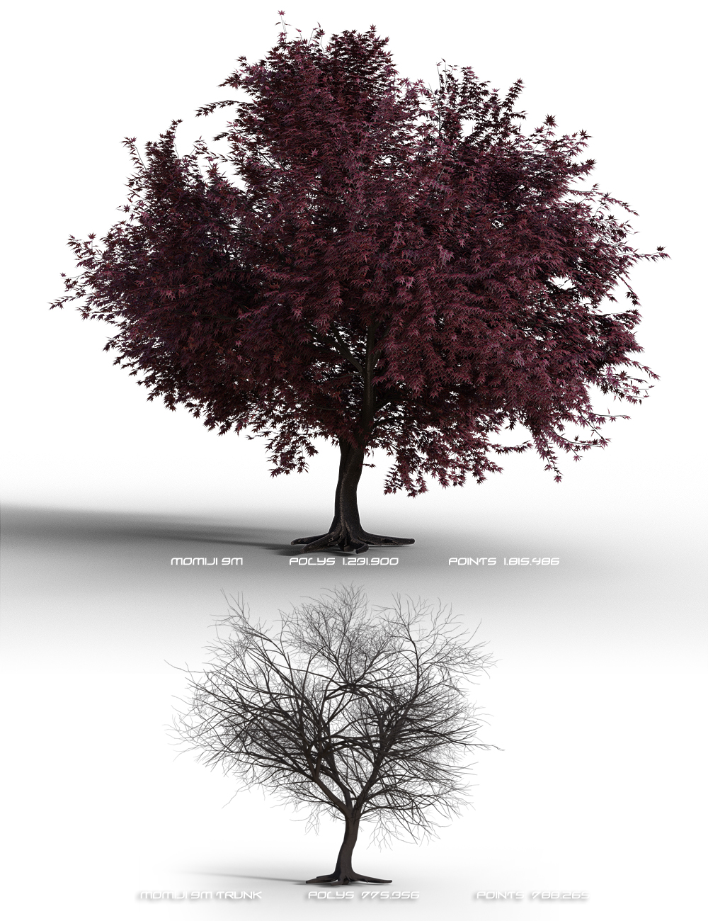 Momiji Trees Extreme Detail | Daz 3D