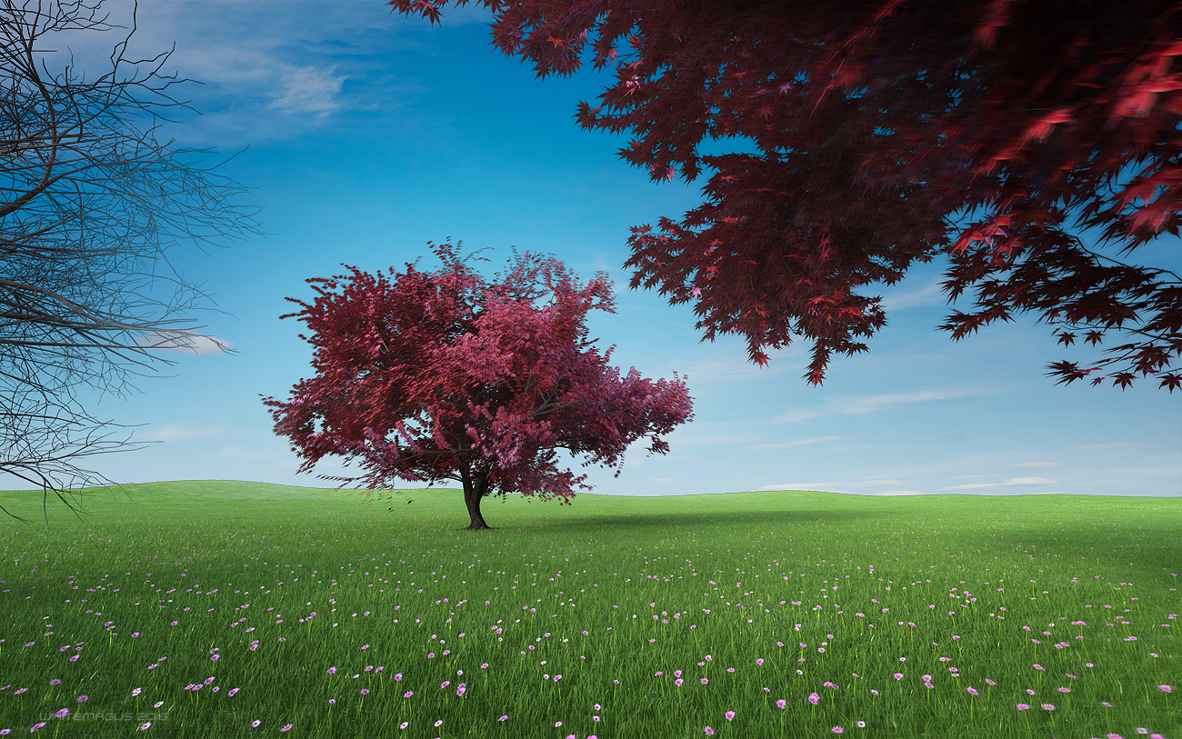 Momiji Trees Extreme Detail | Daz 3D