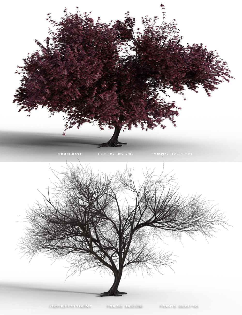 Momiji Trees Extreme Detail | Daz 3D