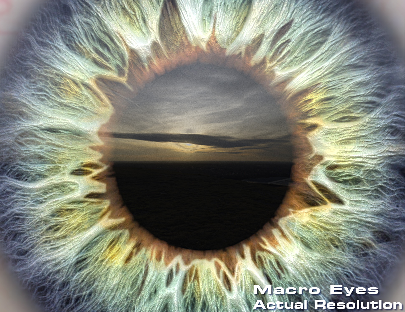 Macro Eyes for Iray Blues and Greens | Daz 3D