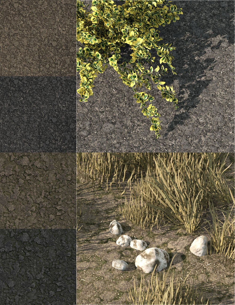 Ground Textures 3 | Daz 3D