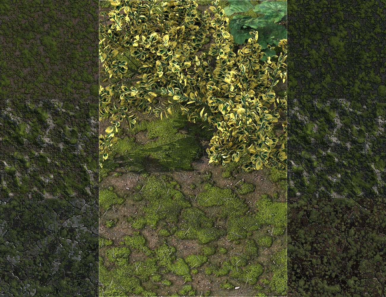 Ground Textures 3 | Daz 3D