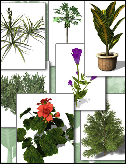 Xfrog Plant Sampler 1 | Daz 3D