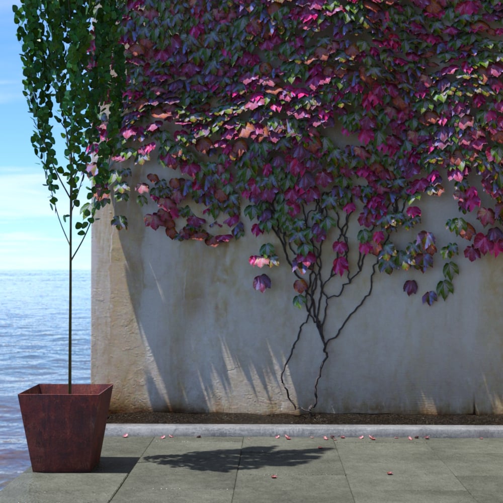 Breezeway and Balcony | Daz 3D