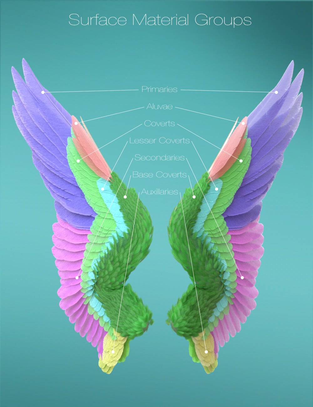 Feathered Wings for All | Daz 3D