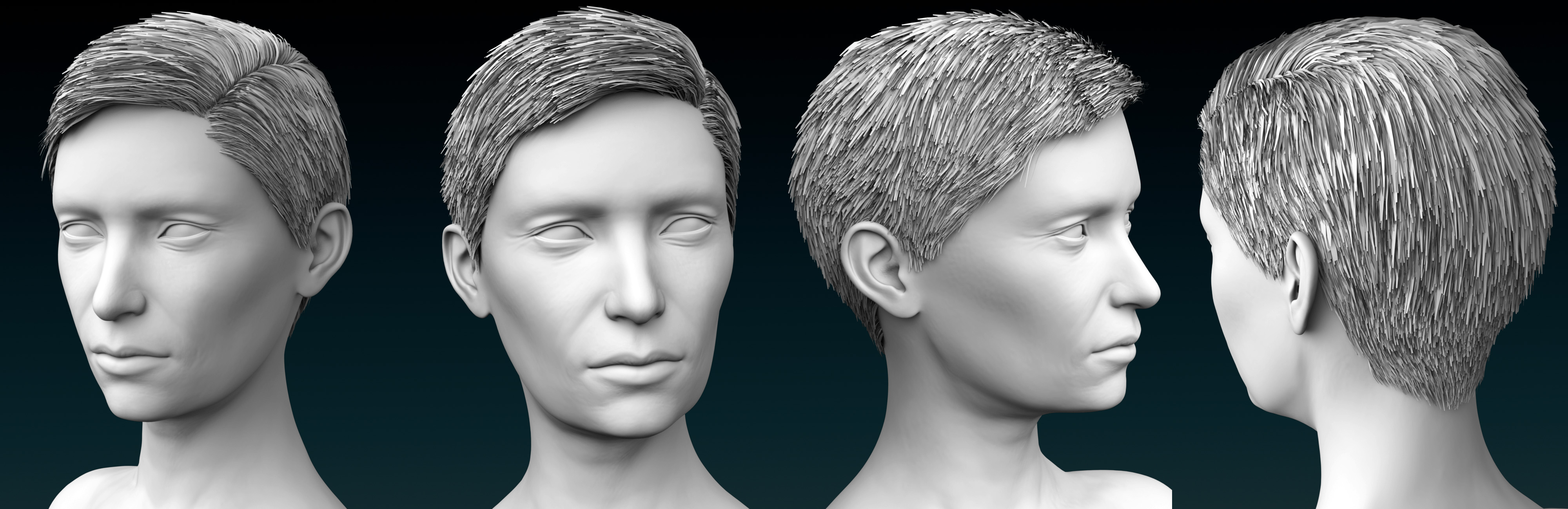 Agent Hair for Genesis 3 Female(s) and Male(s) | Daz 3D